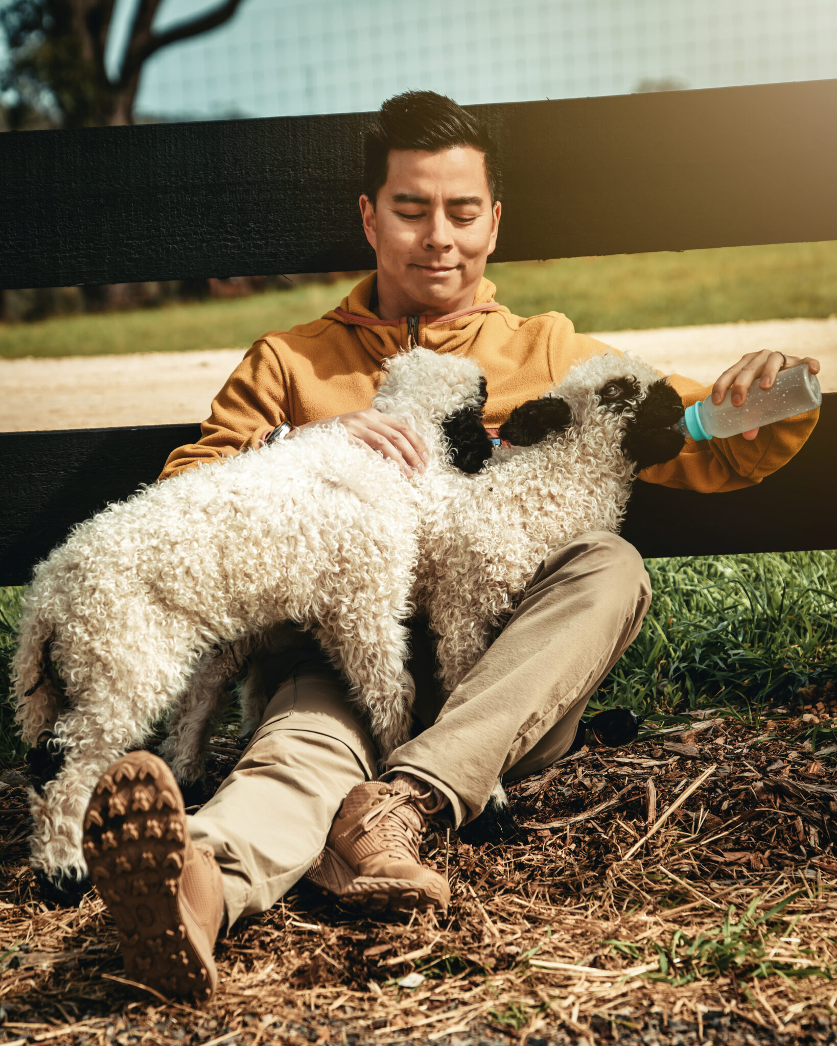 Corporate Programs – Pearson's Farm